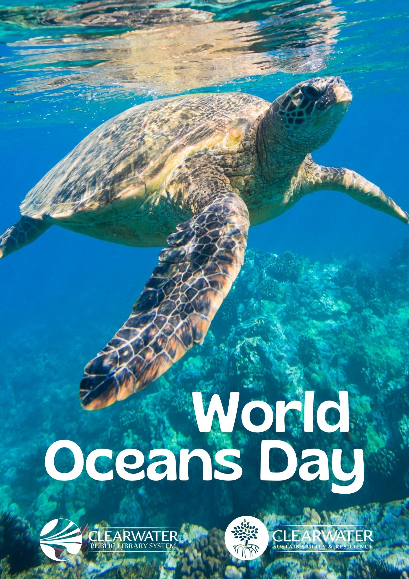 Making Waves for World Oceans Day | Clearwater Public Library System